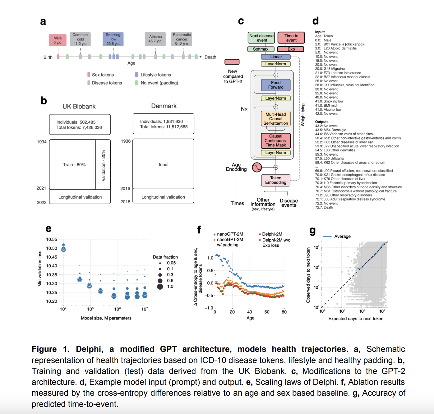 Delphi-2M: A Modified GPT Architecture for Modeling Future Health Based on Past Medical History ...