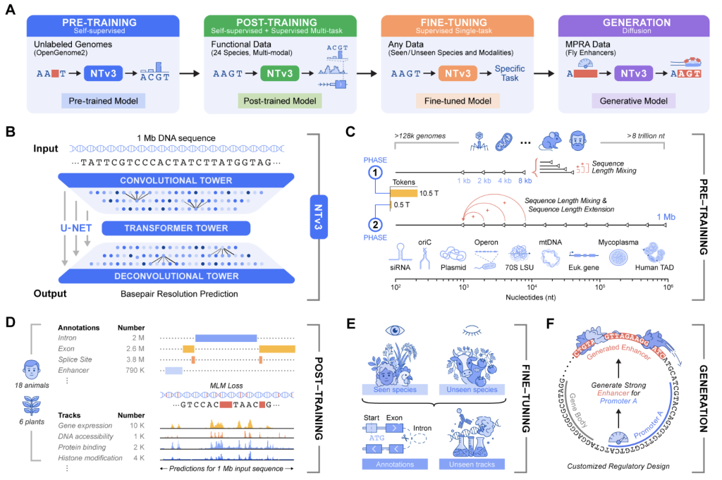 InstaDeep Launches NTv3: Advanced Multi-Species Genomics Model with 1 ...
